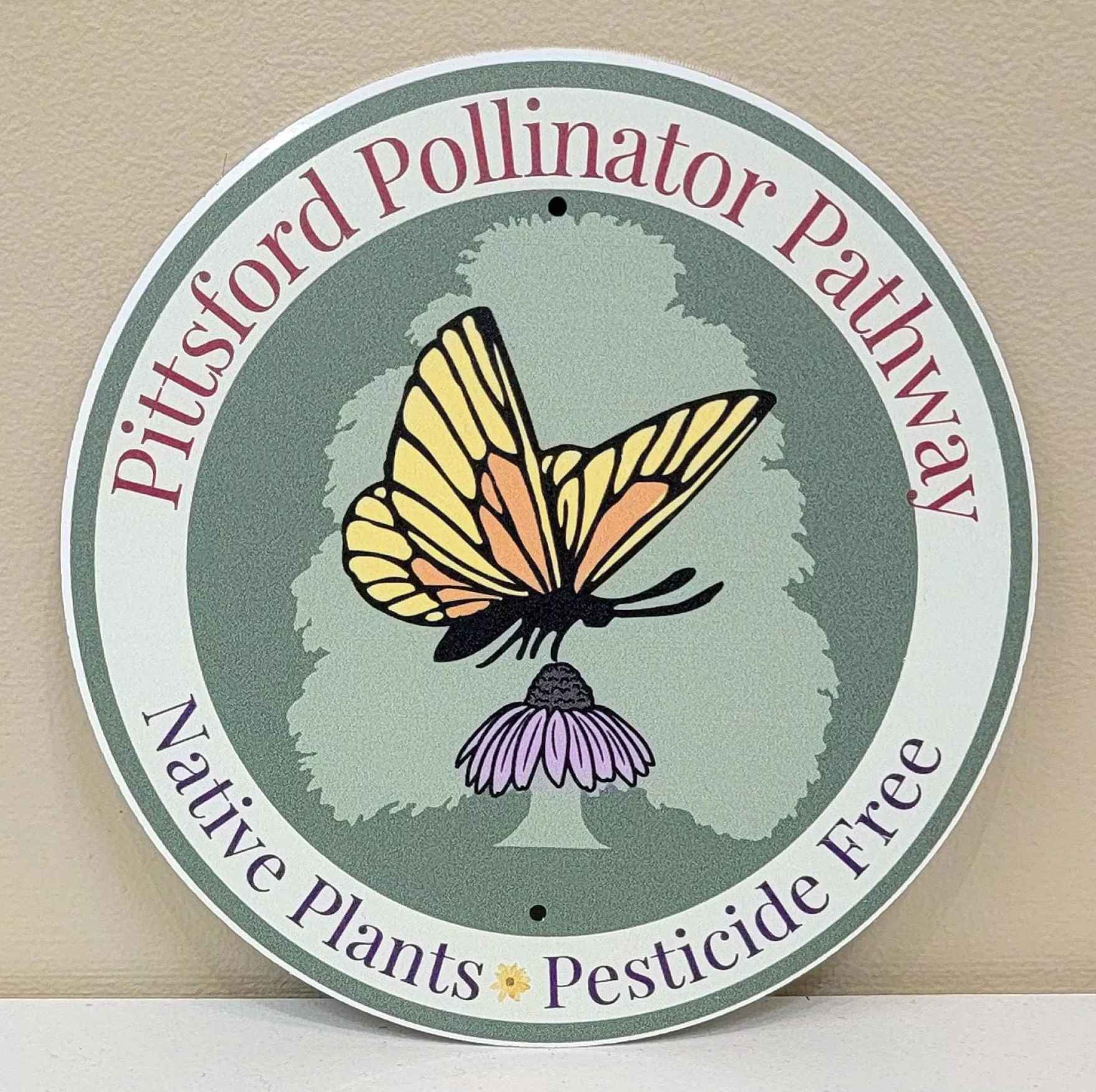 Town Of Pittsford Featured On WXXI For Launching Pollinator Pathway ...